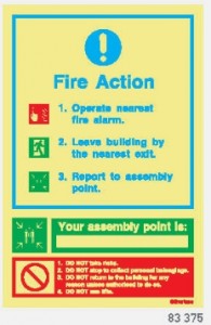 Everlux Fire Action Sign - Public 200mm x 300mm - Fire Products Direct